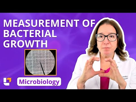 Measurement of Bacterial Growth: Microbio Pre-Nursing, Pre-Med & Health Field Careers | ‪@LevelUpRN‬