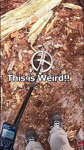 This is wired #metaldetecting #beach #foryou #goldhunting #treasurehunt #treasurehunting #treasure #gold #seek | Underwater Exploration
