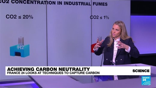 Carbon capture techniques: What are they and how do they work?
