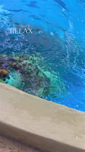 Relax 😌. . . . #asmr #viajar #travel #peace #sunsetlover