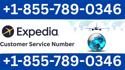 Expedia® USA Customer Service: Your Full 24/7 Live Person Support and Contact step by step Guide