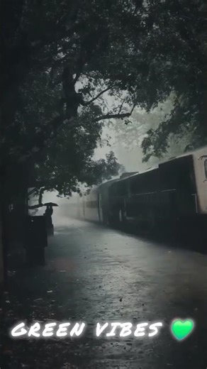 #naturelovers #natureshorts #greenvibes #rain #train #trending #relaxing #relax #youtubeshorts