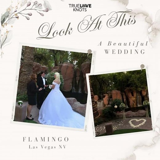 Wedding Officiant Tips for YOU!