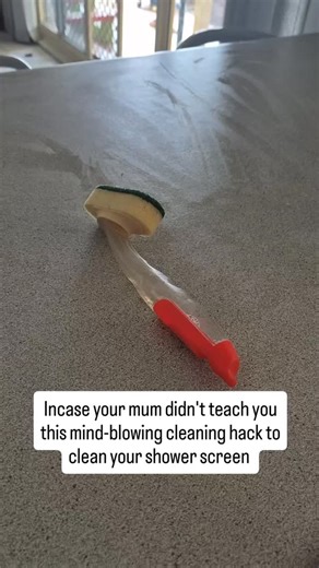 🍃 Alana Taylor | Cleaning Hacks & Low-Tox Living | 1️⃣ Grab a dish wand (the kind you fill with soap). 2️⃣ Mix your solution: Fill the wand with equal parts white vinegar, dish soap and a... | Instagram