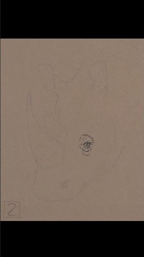 Rhinoceros Sketch (Pen and Markers)