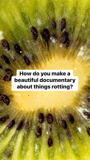 3.2K views · 14 reactions | How do you make a beautiful documentary about decay? After watching Wrought we had 1874032 questions, so we asked the filmmakers and wow did they deliver. Learn more here and watch Wrought free on @cbcgem and CBC Docs YouTube channel : lnk.bio/cbcdocs | CBC Docs | Facebook