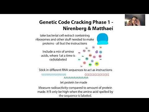 Cracking the genetic code: Nirenberg, Matthaei, Leder, et al.'s experiments (poly-U and more!)