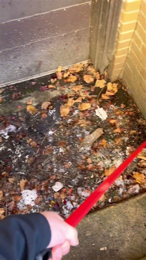 Pokémon clean up🧹