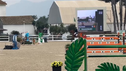 [ HOS D’O ] Il y a quelques semaines à Oliva, Halima van het Bontehof (HOS D’O x Heartbreaker) a remporté une épreuve qualificative à 1m45 et pris la 2e place de l’épreuve à 1m45 le lendemain sous la selle d’Andres Vereecke 👌. La production d’HOS D’O est peu nombreuse mais compte un ratio impressionnant de chevaux performants sur des épreuves 145 et plus. Toutes les infos ➡️ https://www.gfeweb.com/fr/liste-etalons/hos-belgian-warmblood-bai,173.html | GFE Groupe France Élevage