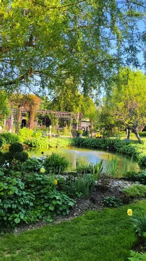 I feel like I'm back in my childhood 💚✨ #gardeninglove #HappyGardener #GardenLife #NatureLifts #simplejoys