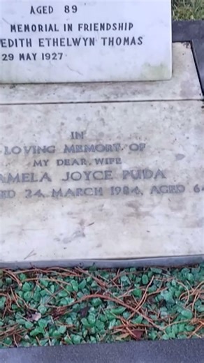 Royal air force #hero #military #veteran #cemetery #death #history #brave #new #shorts