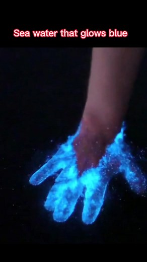 The Fascinating Phenomenon of Why Water Looks Blue