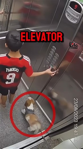 #fblifestyle | EveryDay Life Morals