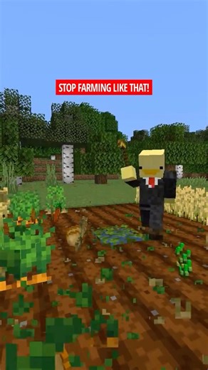 Minecraft Crop Farm🌾🥕