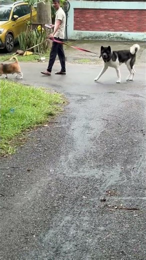 Getting familiar with the surroundings