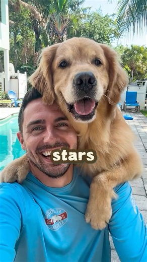 3 Dog Breeds Rising Fast in 2025 — Why Everyone Wants Them Now #dogsworld #dogbreed #dog #shortvideo