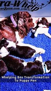 2025-11-28 Puppy Pen Redesign