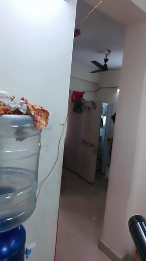 906K views · 12K reactions | Quick Delicious husband tiffin recipes #kids tiffin recipes #lunch #no Onion Garlic Recipe | Neha veg delights | Facebook