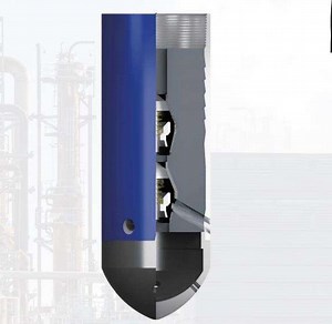 [Hot Item] API Standard Oilfield Downhole Tool Cement Float Collar