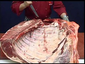 Beef Forequarter Carcase Breakdown