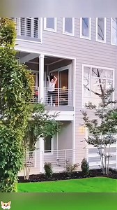 When dogs hear neighbors arguing...😂 #funnyvideos #pet #Funny #omg #fyp #happy #dog #viralreelchallenge #viralreelsシ #viralreelschallenge | Pets Pickup Light