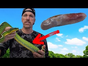 HUGE Blockage Inside This Snake - What is it?