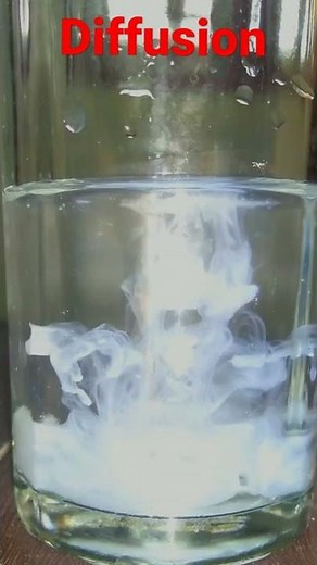 Ch-1 Matter in our surroundings |activity | Diffusion | Class 9 Science |Intermixing of liquid