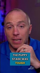 Dog Training: Unlock Success with the McCann Method! #shorts