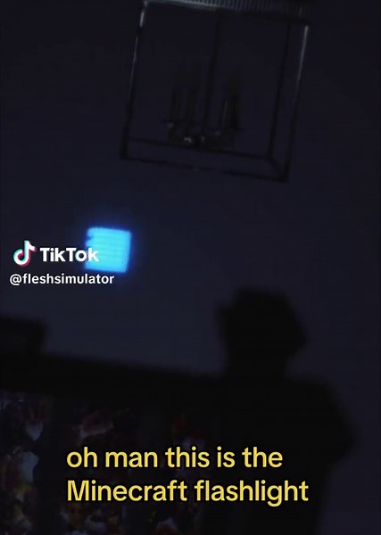 look what you made me do. Now we gotta do it the hard way. are you happy about this #minecraft #flashlight #fleshsimulator