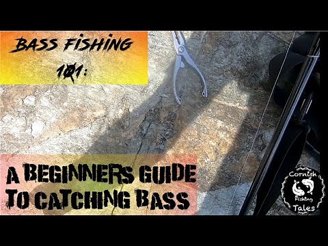 Bass Fishing 101: A Beginners Guide To Catching Bass