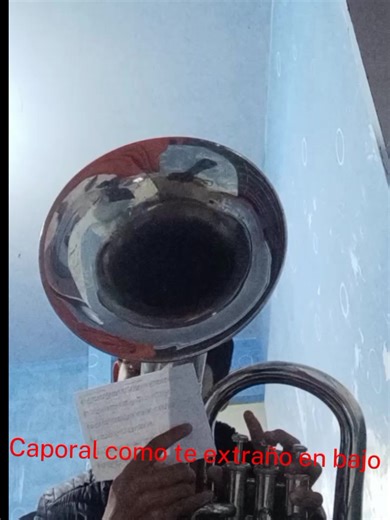 Playing Brass Trombone with Musical Notation Guide