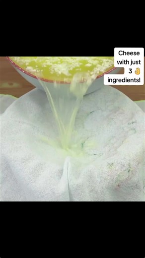 Make your own Cheese with just 3 ingredients! #CapCut #cheese