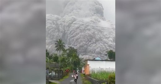 Scientists and students study volcanic eruption