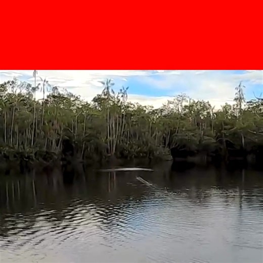 50 reactions | Ruby Apps on Reels | Facebook