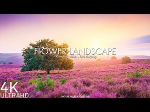 4K【花のある風景】優しい癒しのBGM・自然音・疲れた心身の回復・リラックス・勉強中や作業用 - 8 Hours Beautiful Flower Landscape 4K UHD