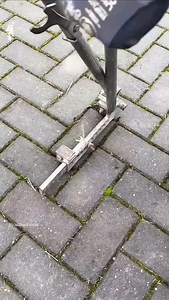 1.7K views · 113 reactions | #fact #short | Knowledge Wala Reels | Facebook