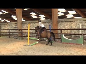 Galop 2 - Sauter un obstacle