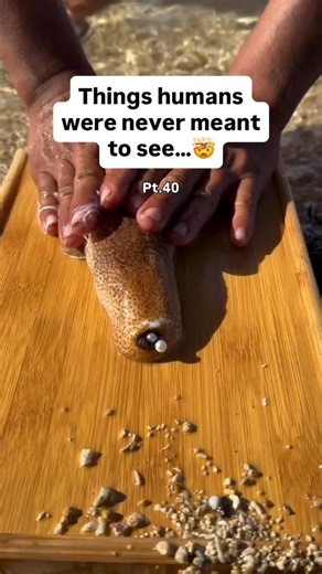 Eternal Wisdom Library | ✨#1 Spiritual Guide Bestseller 📖 | Alex Hormozi suggests a brutally simple productivity experiment: for one week, log your day in 15-minute blocks. From the moment you wake... | Instagram