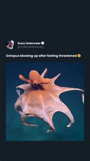 1.6M views · 18K reactions | This captivating image showcases a...