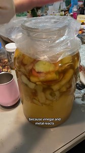 Making apple cider vinegar! It’s so easy! I love using apples that are just past what my kids like eating fresh haha #applecidervinegar #acv #makingapplecidervinegar #fermenting #soeasy | Gardenofhope