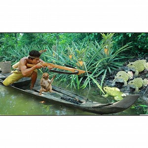 5.3K views · 278 reactions | My life with beby monkeys Flooded forest rich in fruits And frogs | Quant-Amber TH | Facebook