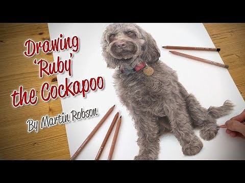 Drawing a dog - 'Ruby' the Cockapoo