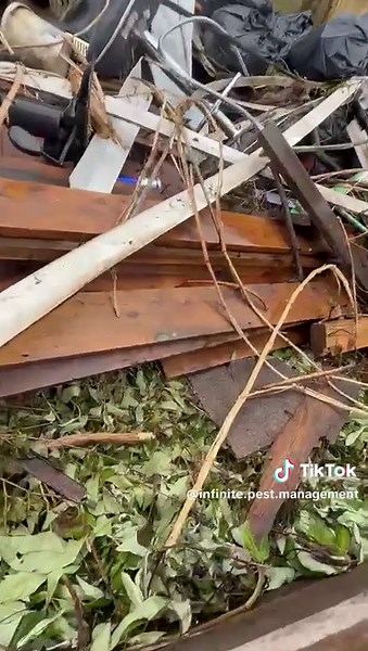 The Pest Control Boys Sorry for the delay guys we have been SUPER busy lately. Here’s some footage on why to keep your gardens clean. Infinite Pest Management • Wasps • Rodents • Ants • Bedbugs • Cockroaches more. What ever your issue is. We have you covered. Commercial & Domestic jobs covered. 5* Google verified / Checkatrade approved Call today for a friendly chat or quote: 07747577766 www.InfinitePestManagement.co.uk #AntControl #PestProblems #InfinitePestManagement #ByeByeAnts #LocalPestCont