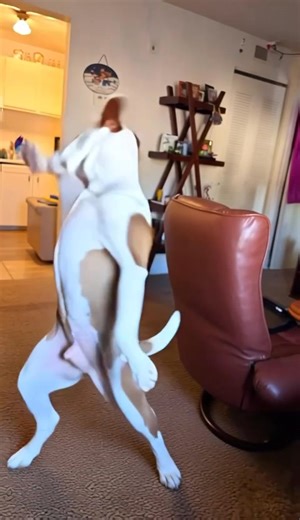 😆😆😆😆 | Colleen Testa Ford Bentley