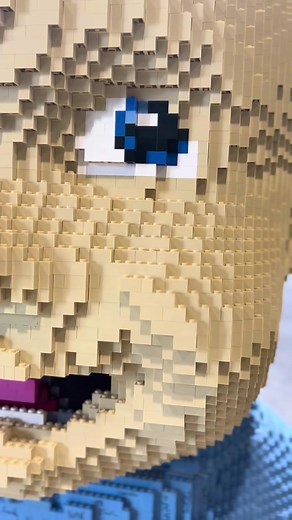 Bricks addiction 🧱. #lego #bricks #legotrend #mico #babybricks #legotiktok