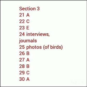 City library | listening answers