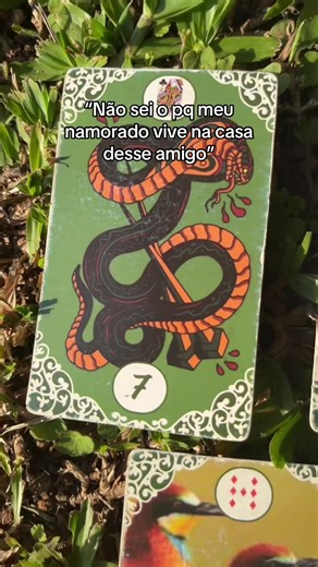 Agende sua consulta no número da bio🫶🏾💚🩵#cartomante #baralhocigano #tarot #tiragemdecartas #lgbt