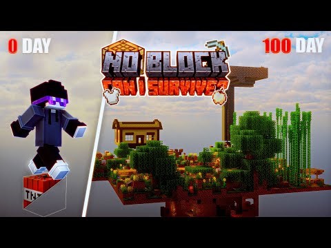 I Survived 100 Days in Minecraft With NO BLOCK