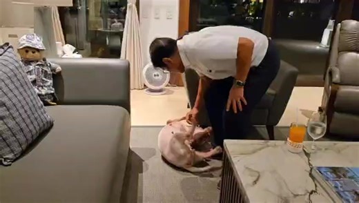 BUYAEN| President Ferdinand R. Marcos, Jr., inbagana nga awan ti marikriknana a sagubanit. Nu pay kasta, arig na nagpauyo dagiti doktor na gapo ta inbilin da nga aginana daytoy ngem agtrabtrabaho met latta. Dayta ket gapo ta nagbayag iti agarup dua oras ti naiyuswat nga Economic Development Council meeting idi Lunes. Iti sabali a bangir, inyamammo pay ti Presidente iti aso da a ni Oreo. Video of Presidential Communications Office #rp1laoag #RadyoPubliko #RadyoPilipinas | Radyo Pilipinas Laoag