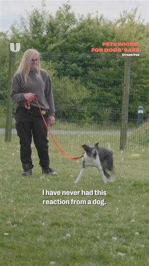 12K views · 83 reactions | Pete and the team address some behaviour issues with a fearful Flower Stream the full episode free on U. | StreamOnU | Facebook